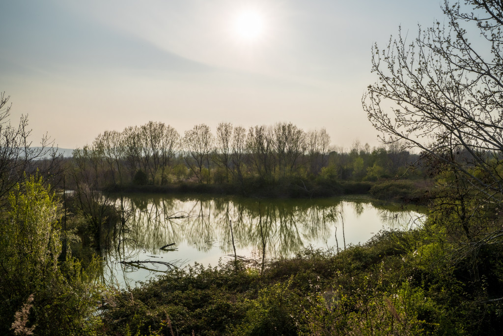 Formigine e il Cammino di Santa Giulia – Comune di Formigine